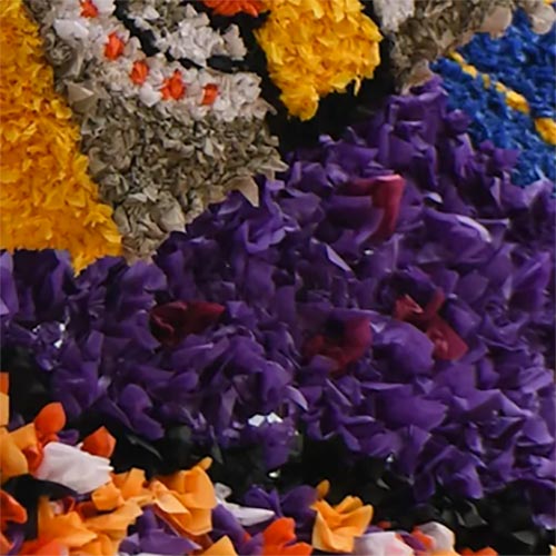 Parade Pomps - Tissue Paper For Parade Floats & Crafts